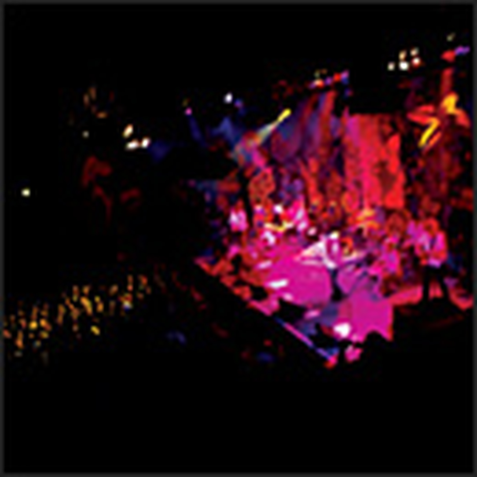 Kila - Live in Dublin