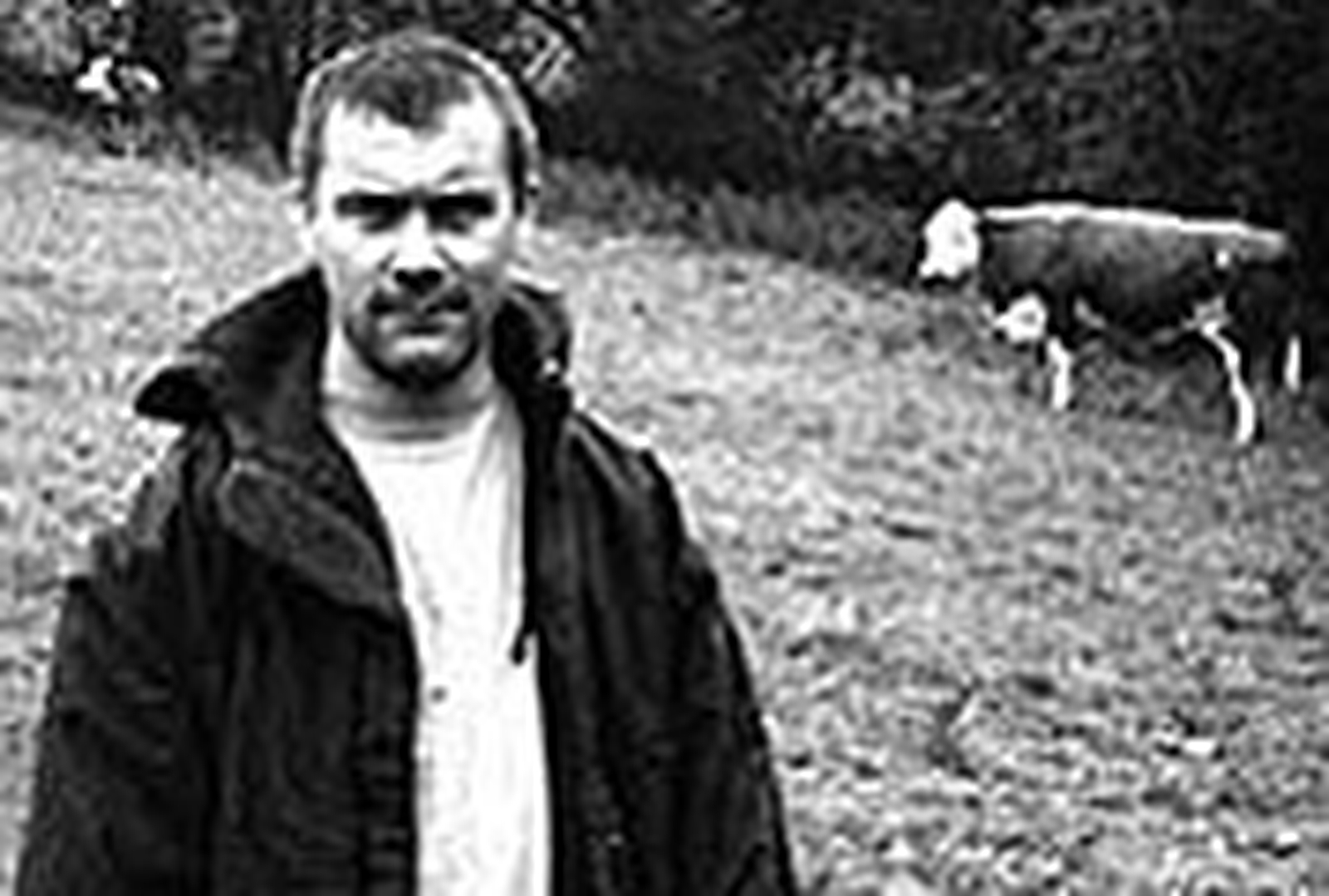 Work for Turner Prize 2006 on display