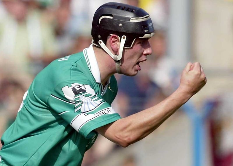 Limerick hold on against brave Dublin