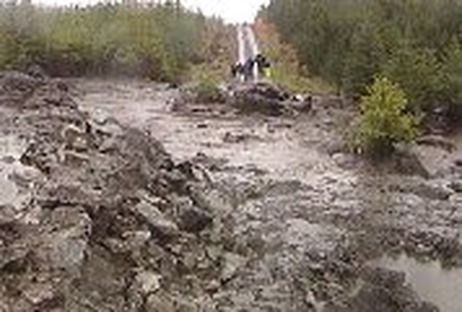 Derrybrien residents lose legal bid