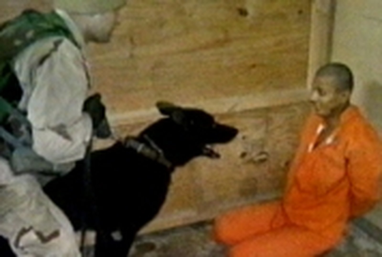 US to examine prison abuse cases