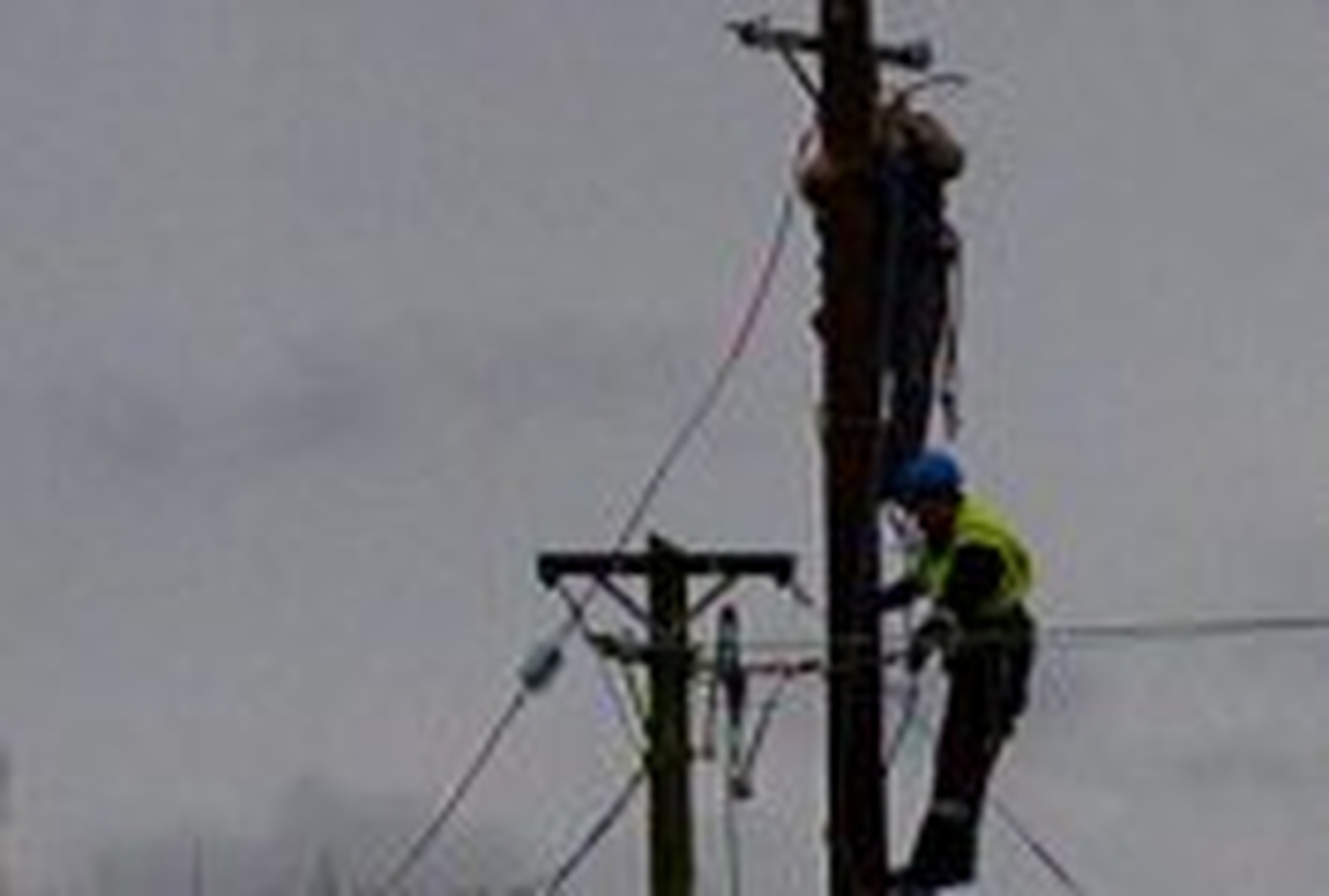 New ESB plant 'must supply rivals'