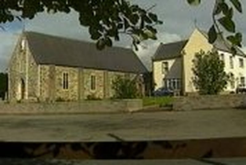 Ferns Report highlights 100 cases