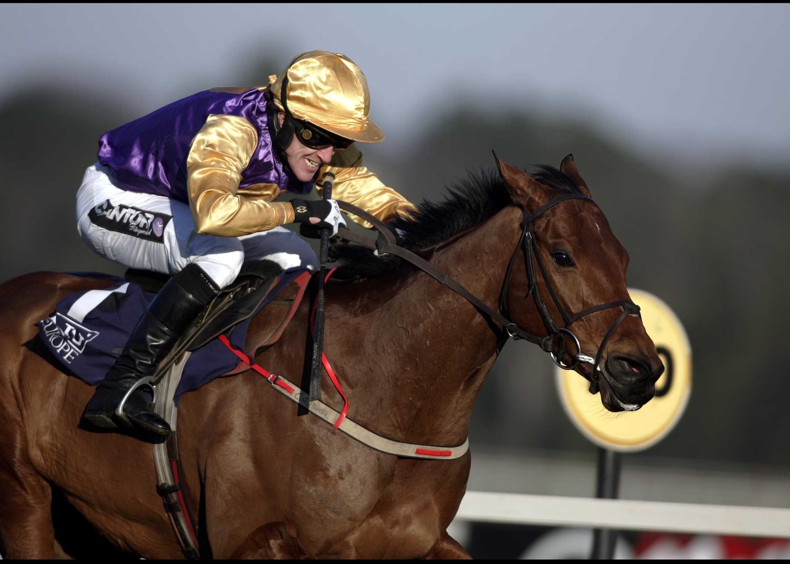 Elsworth to ride Inca in Champion