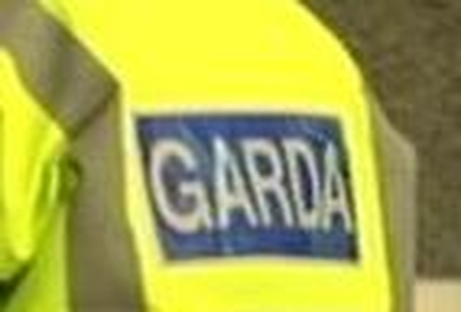 Labour would increase community garda numbers