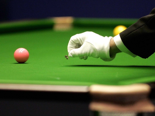 Dott claims Chinese prize