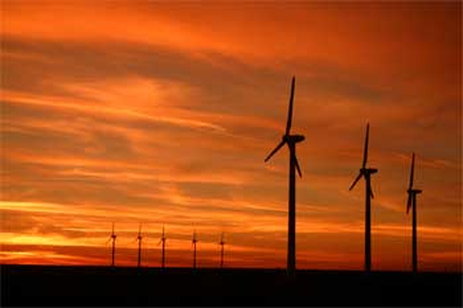 Renewable energy 'is boom sector'