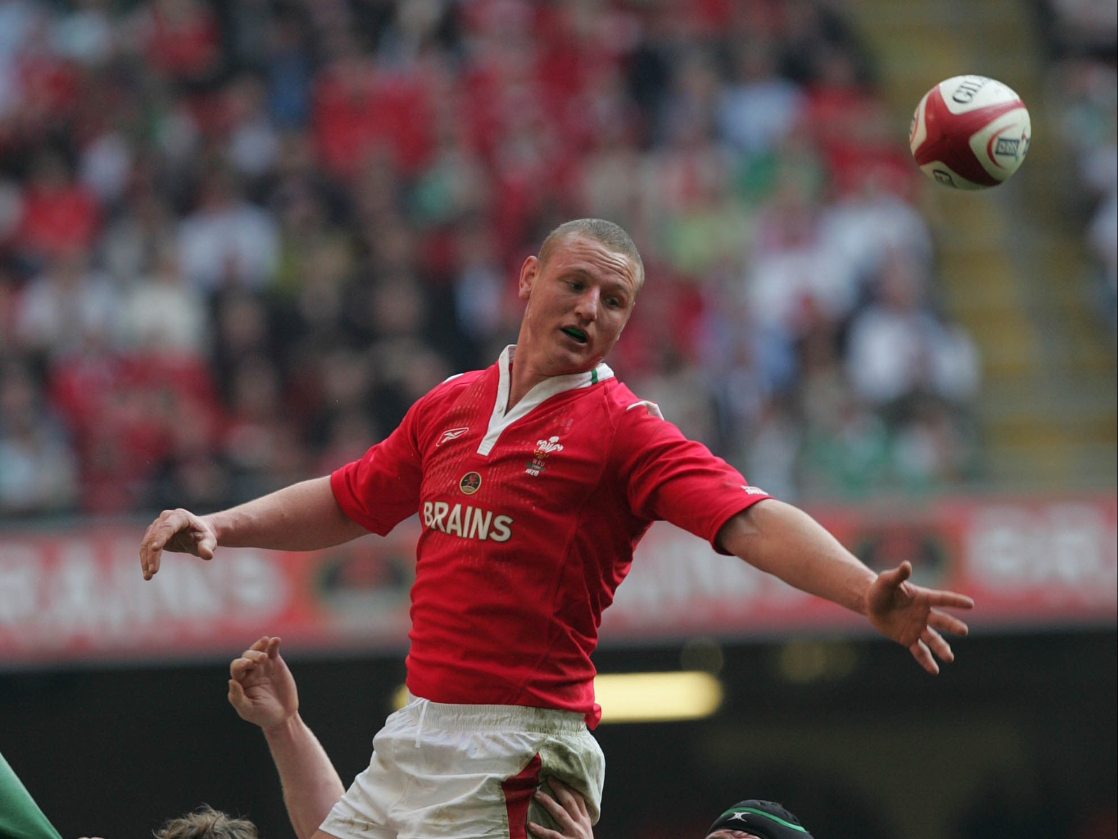 Wales name World Cup training panel