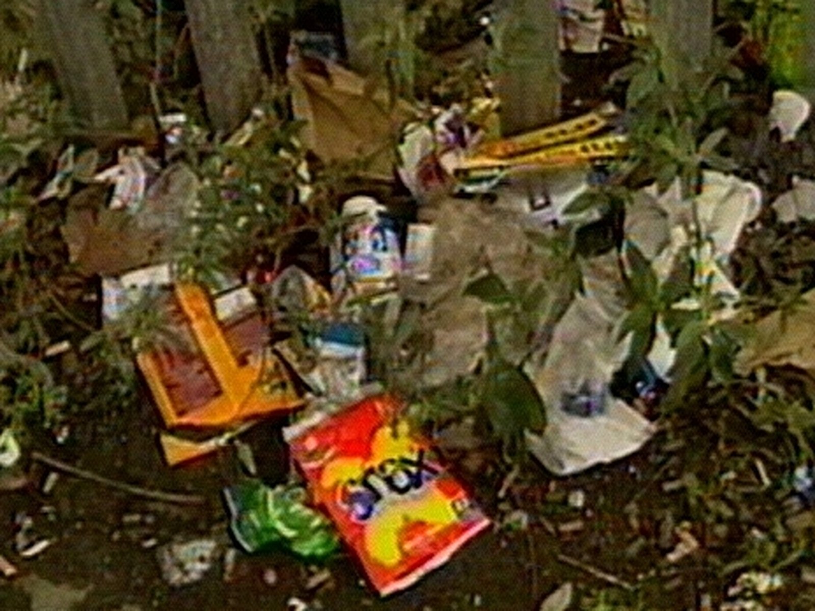 Ongoing rise in fast-food litter