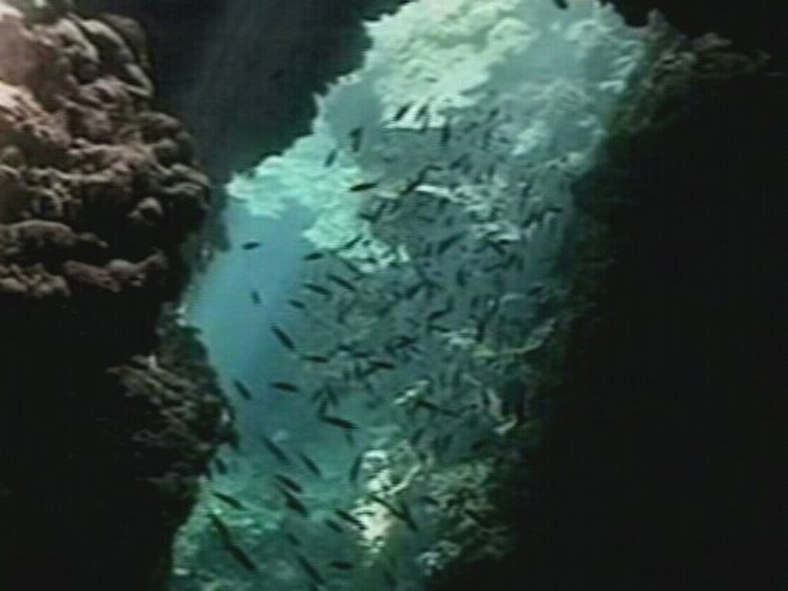 New marine lab to explore uses of deep-sea substances