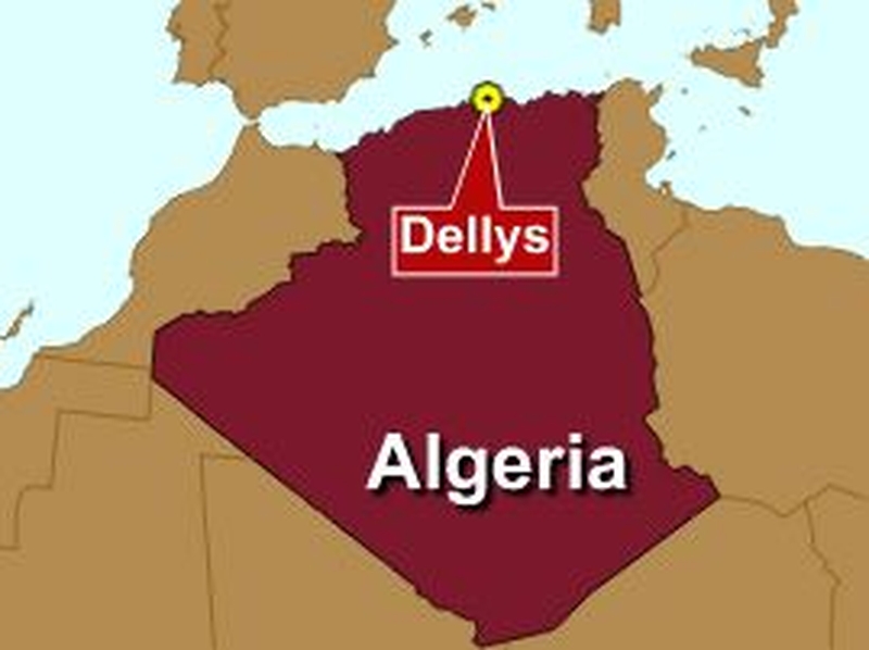 28 killed in Algerian bomb attack