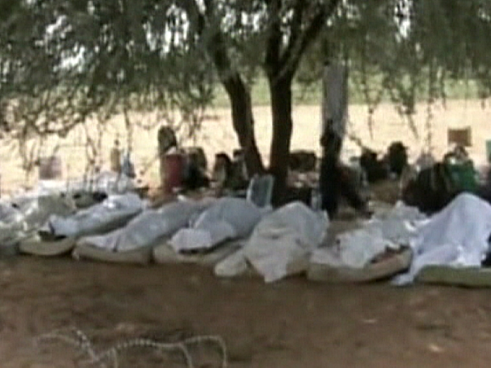 UNSC condemnation of Sudan killings