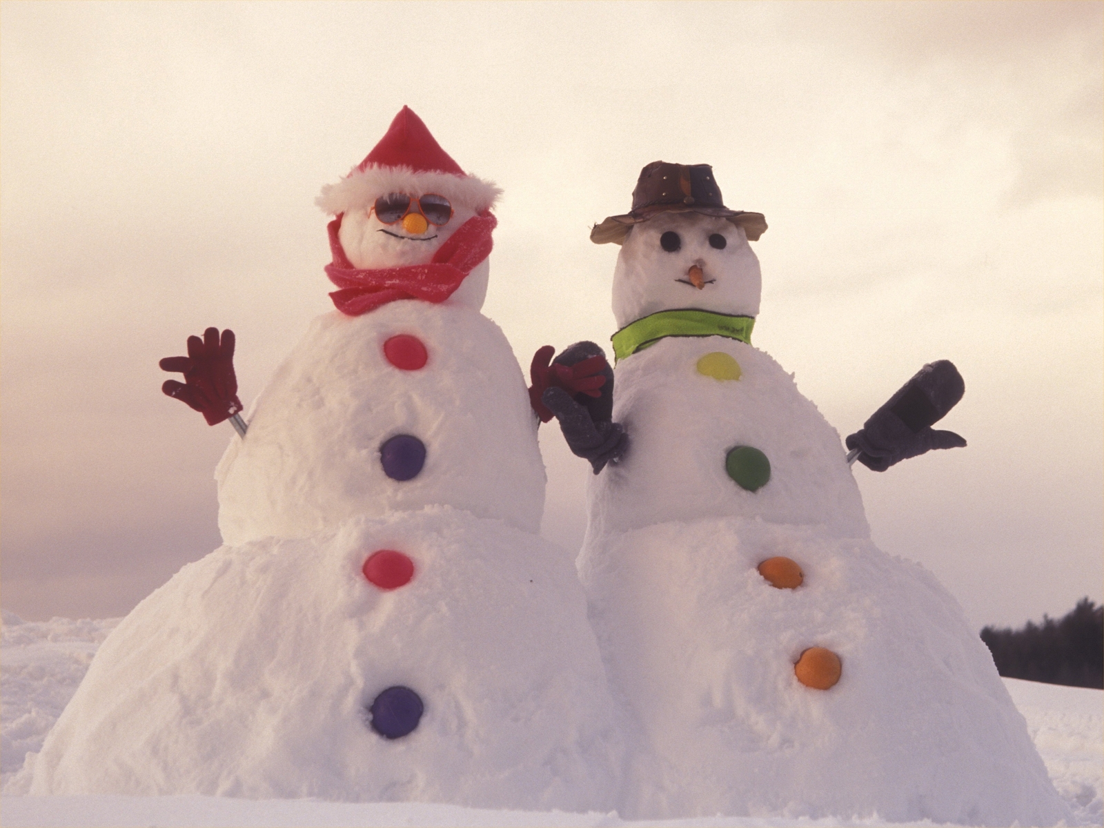 World 'snowman capital' plans unveiled