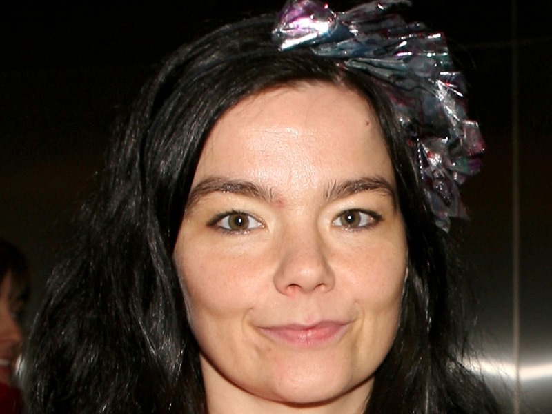 Bjork allegedly attacks photographer