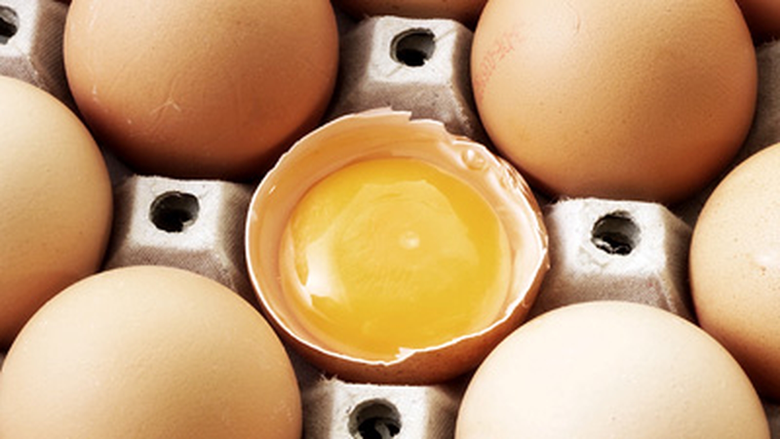 Low Fat Egg and Custard Sauce