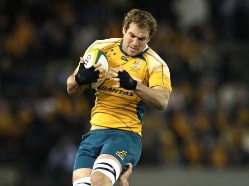 Elsom included in Australia squad