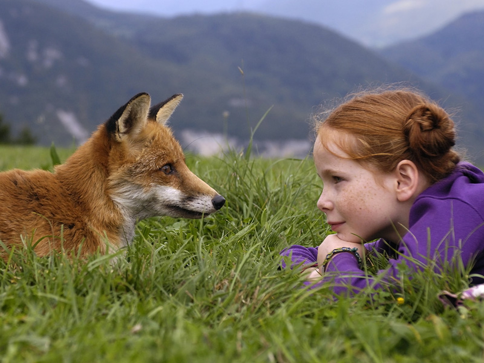 The Fox and the Child