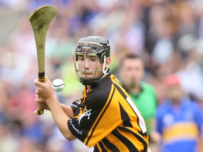 Kilkenny 1-16 Limerick 0-13