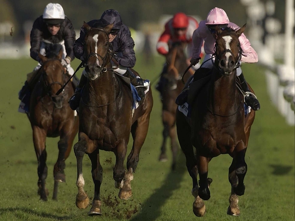 Review of Killarney racing