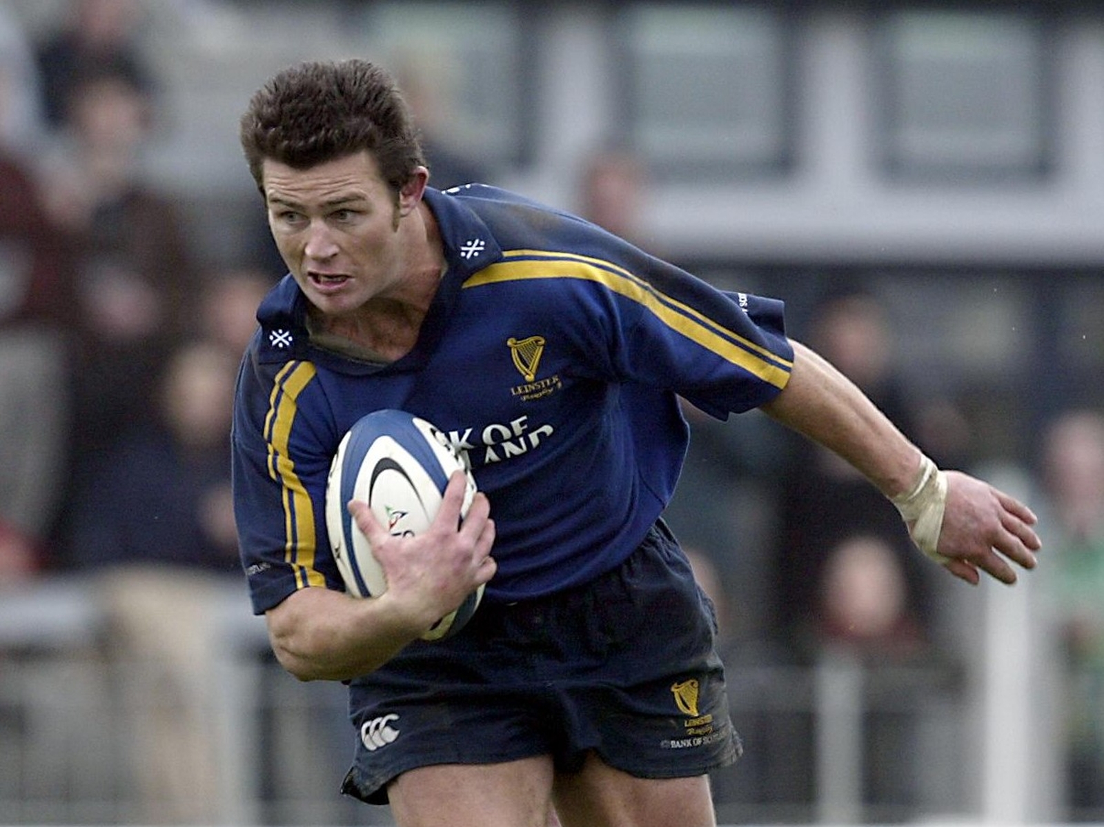 Holwell rejoins Leinster as cover