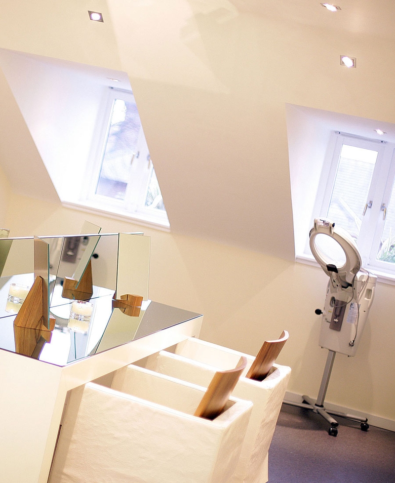 Get your hair in tip-top condition with the 'Mistifier'