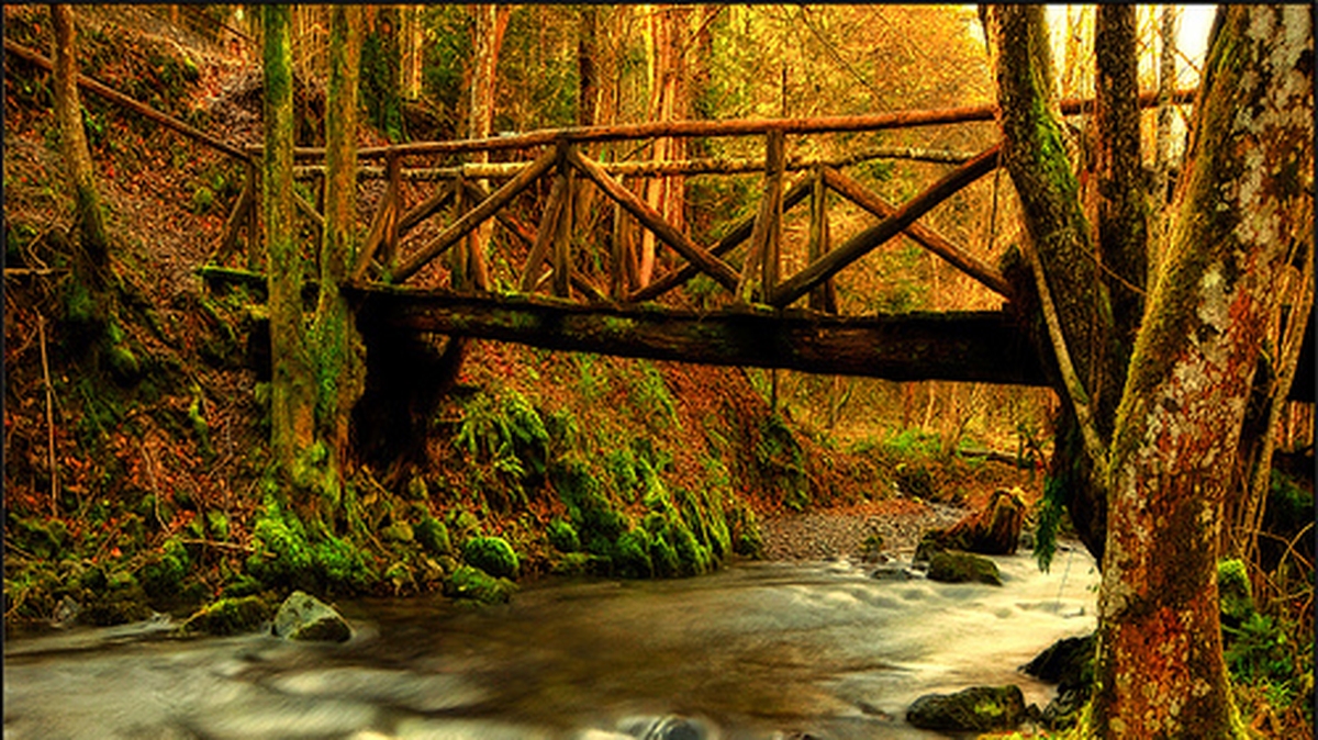 Documentary On One - The Bridge