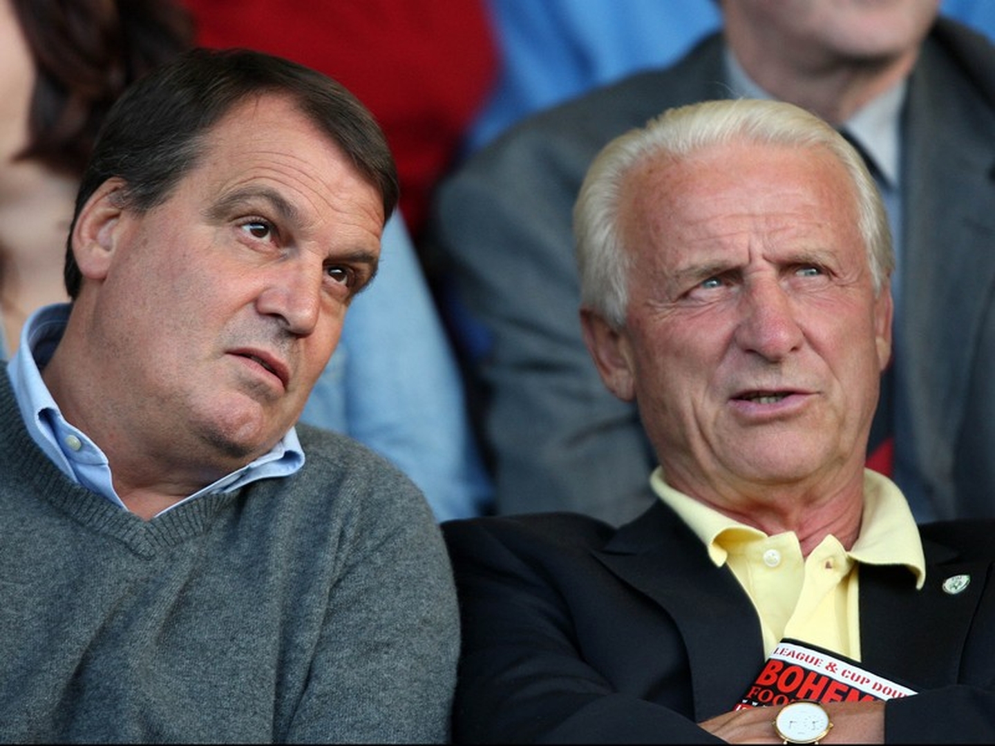 Jason Molloy's Instagram, Twitter & Facebook on IDCrawl