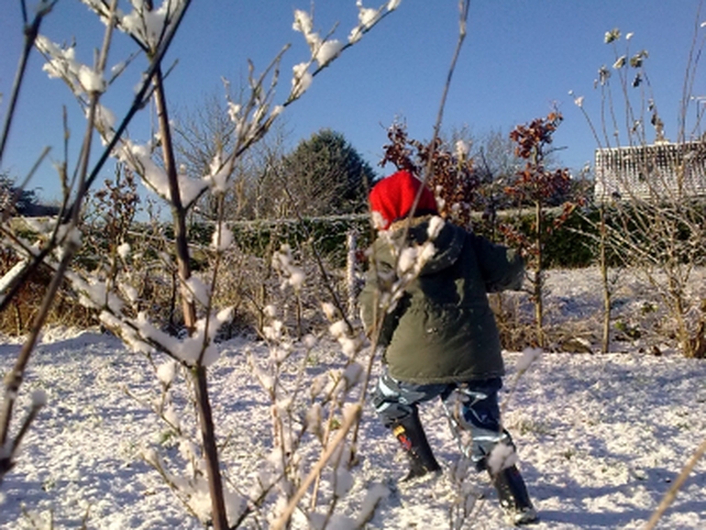 Weather: Your Snow and Ice Photos