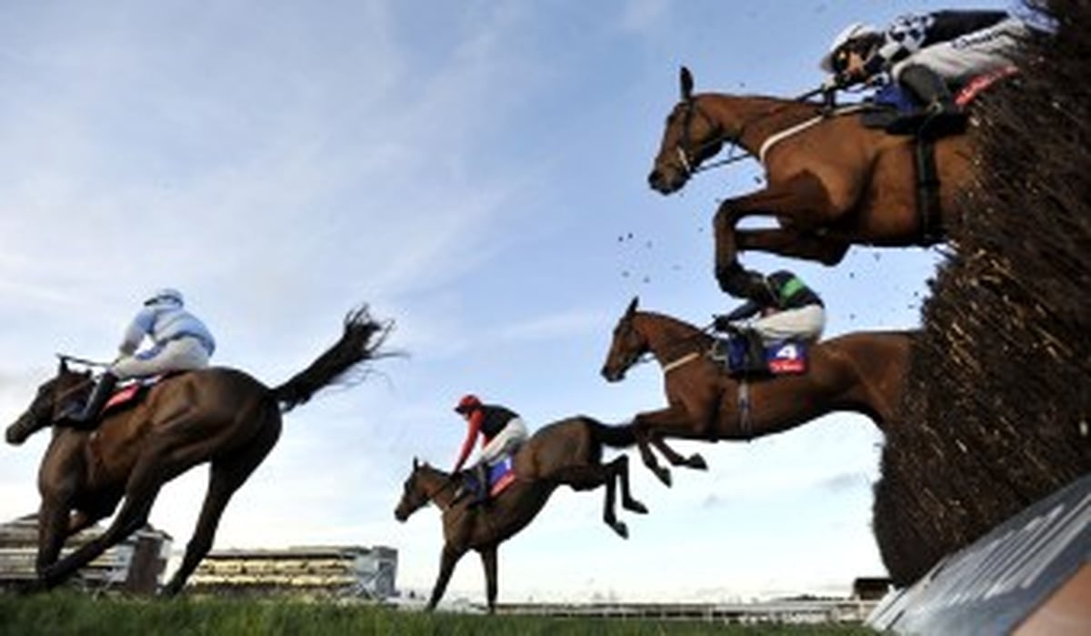 Documentary On One - Thoroughbred Horse Racing In Ireland