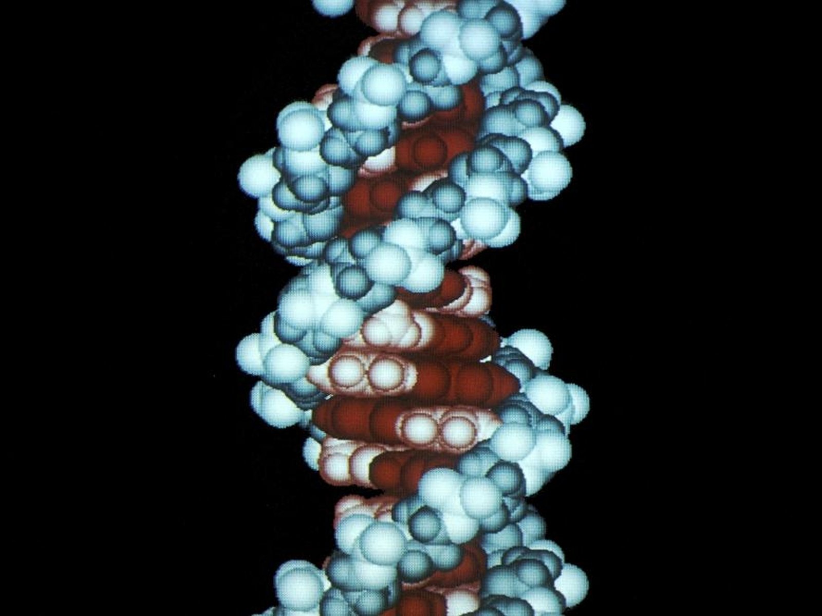 Murphy welcomes DNA database bill