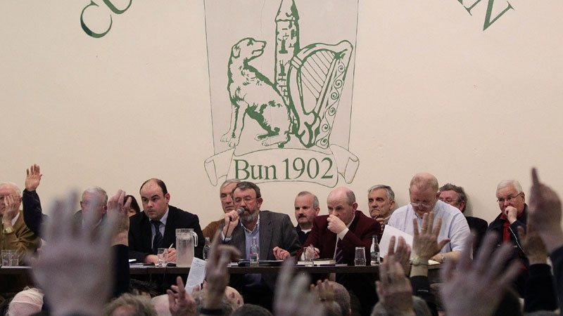 Limerick Backs McCarthy: Henry Martin