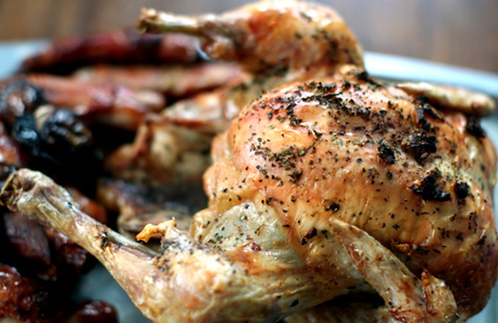 Truffled Chicken with Macaroni