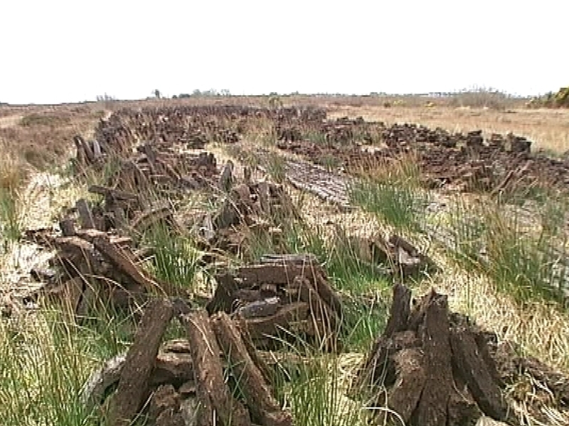 Non-commercial turf cutting ban on 32 bogs