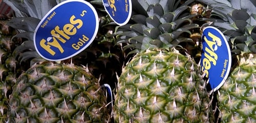 Fyffes revenues for 2014 edge 0.8% higher