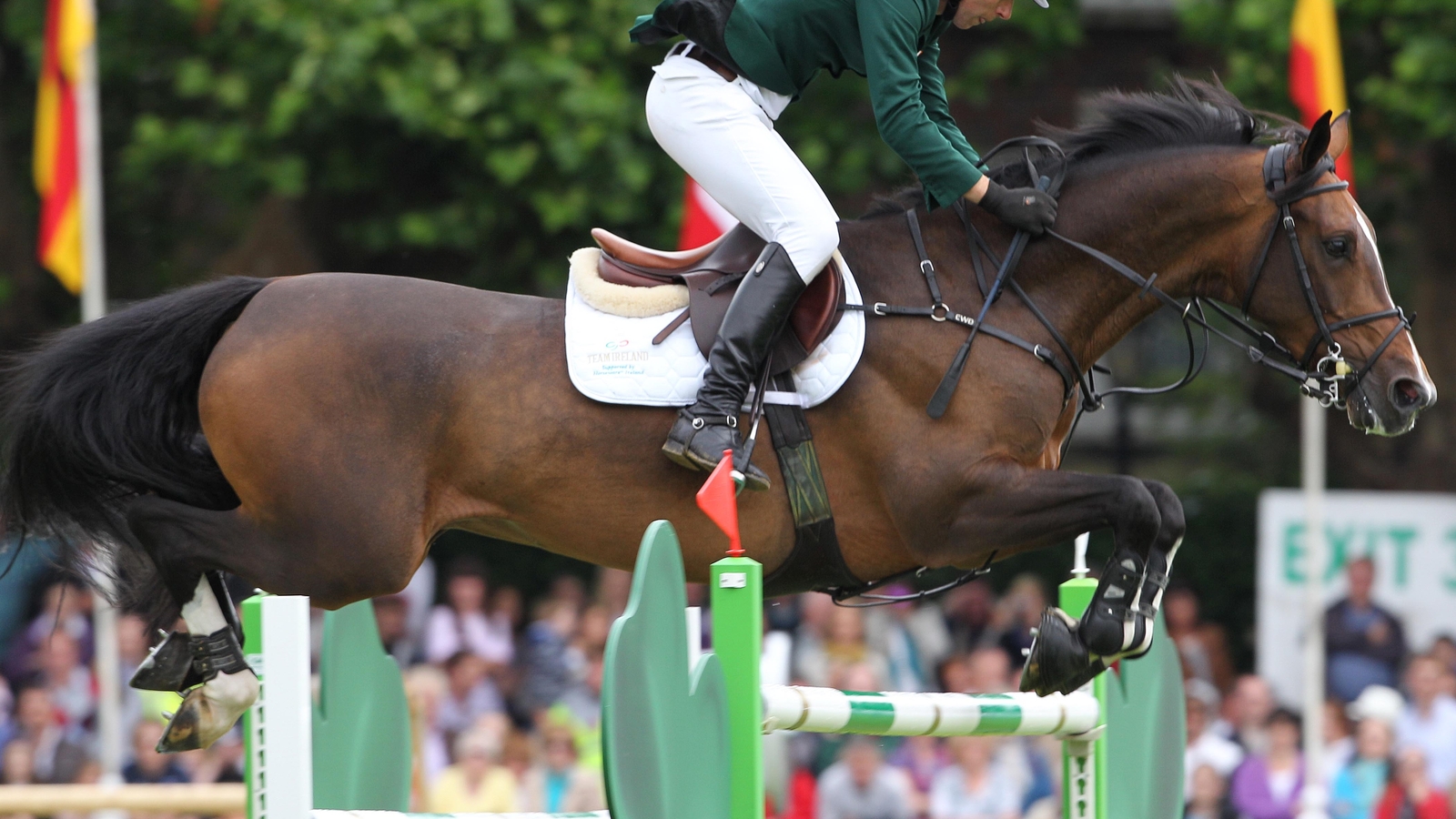 O'Donnell is National Show Jumping champion