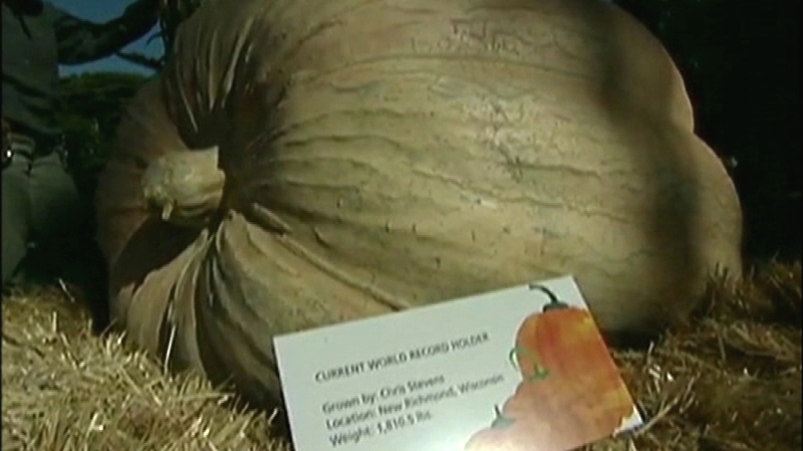 820kg pumpkin grown in Wisconsin