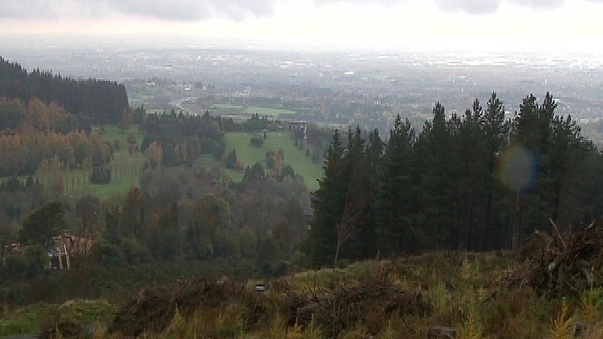 Coillte to plant continuous cover forestry in Dublin Mountains ...