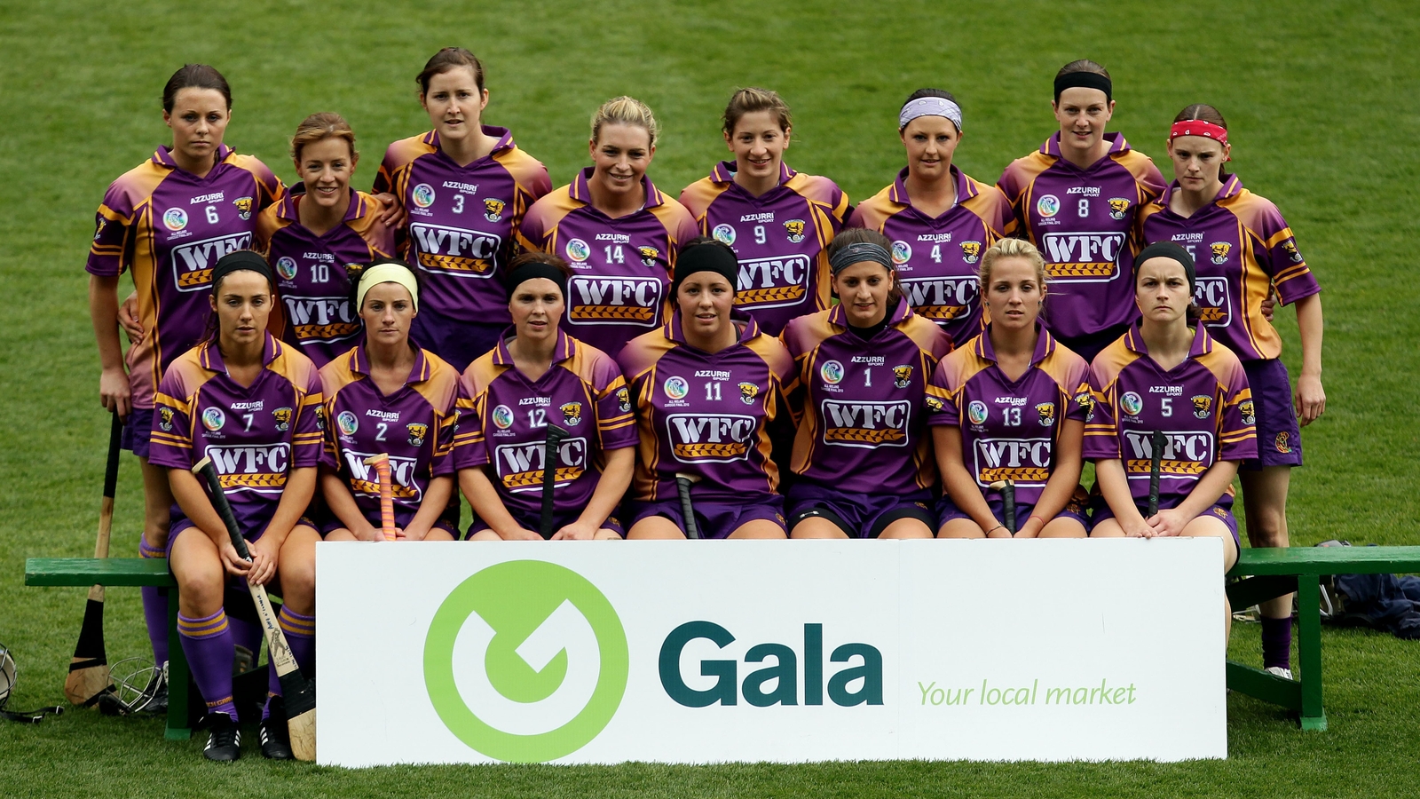 Wexford dominate Camogie All-Stars