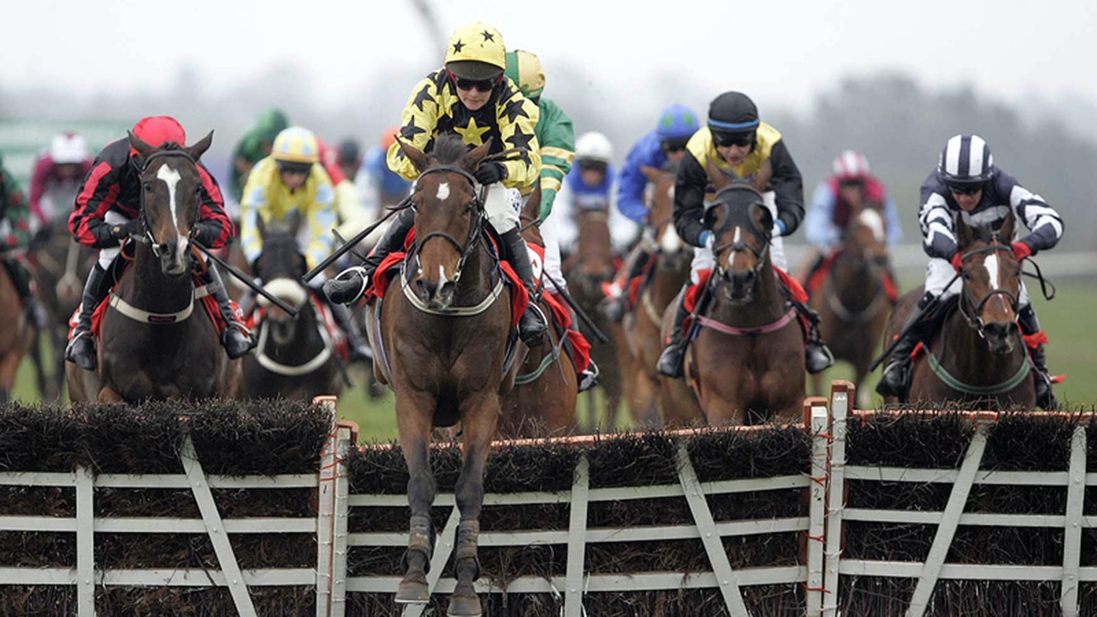 Springtime in Ireland