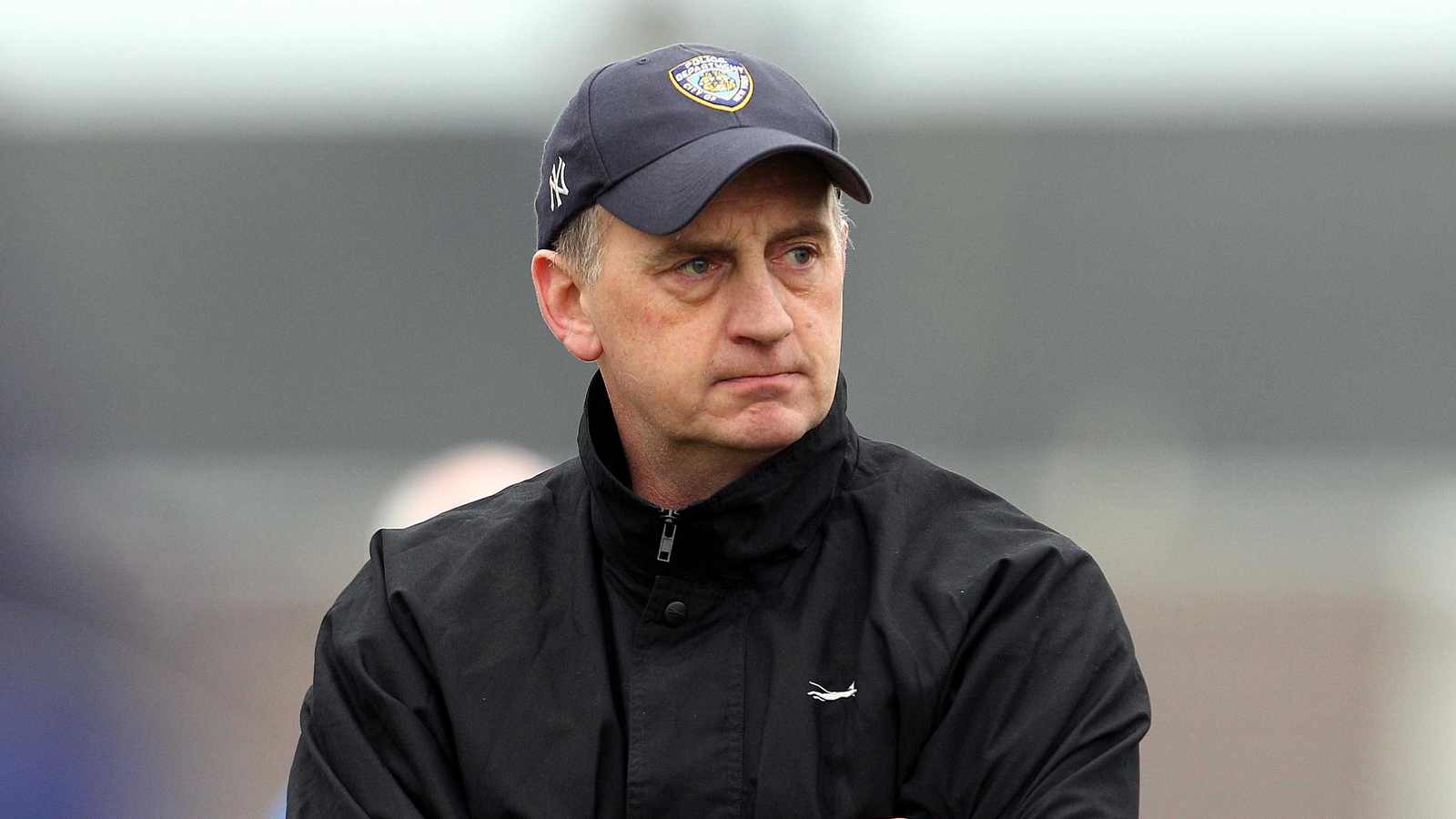 The Cats are still purring - Joe Dooley