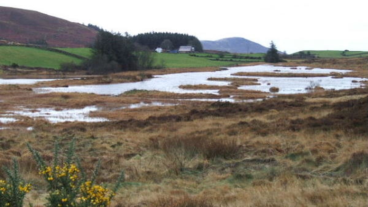 Documentary On One - Day on the Bog