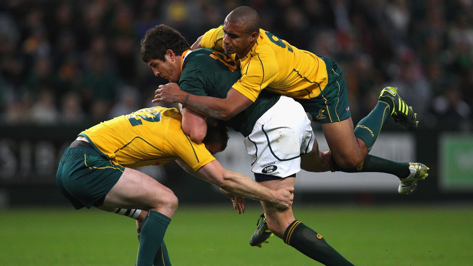 Steyn, Fourie back in Springbok squad of 49