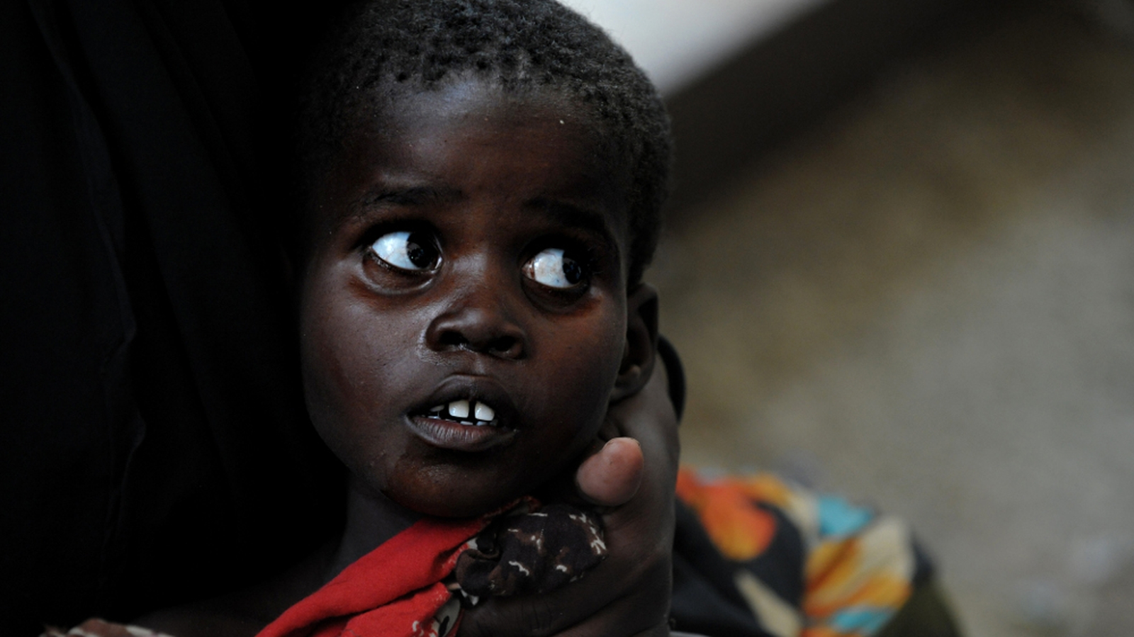 Irish response to famine aid 'remarkable'