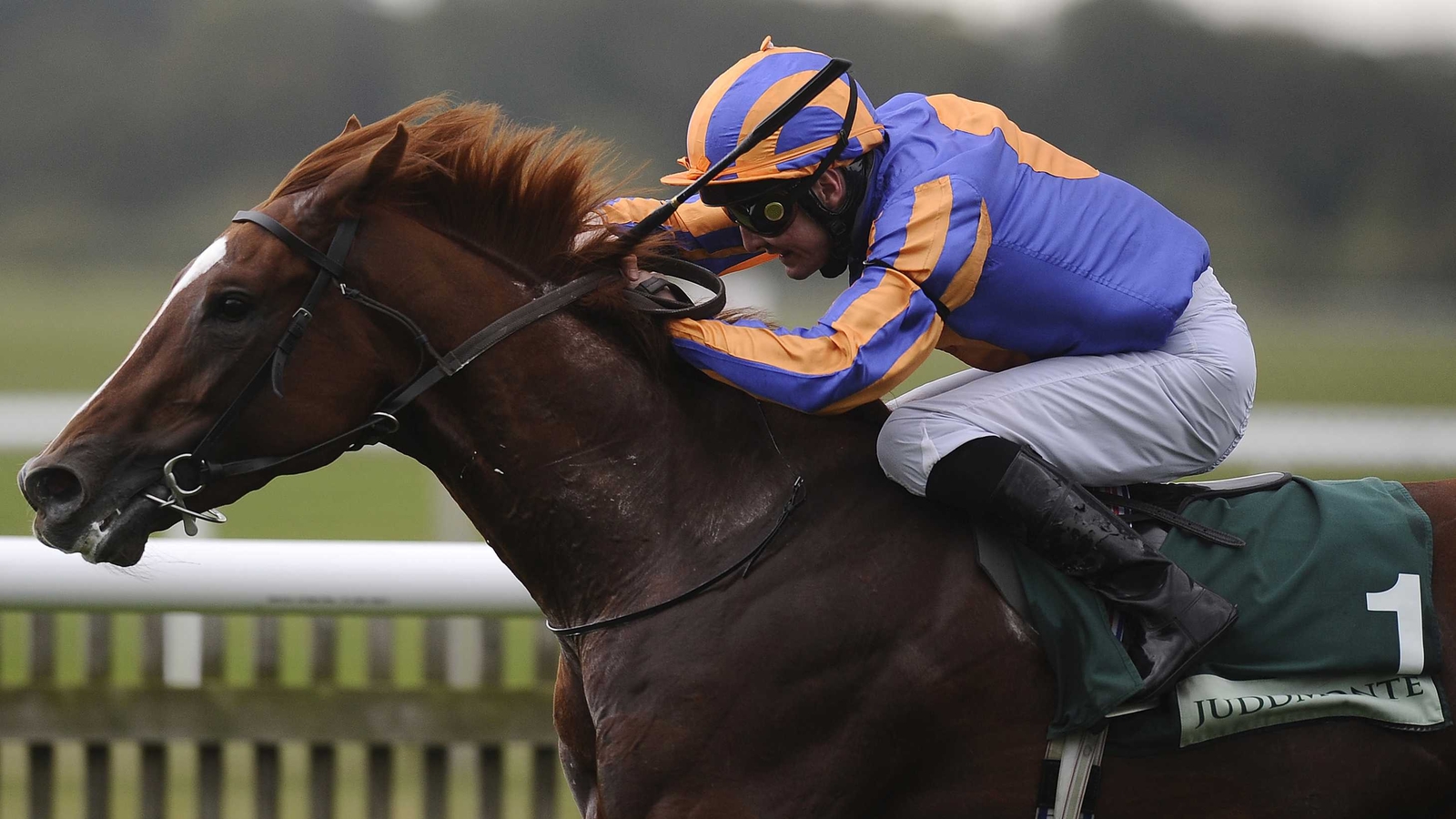 Long Legs heads list of Racing Post entries