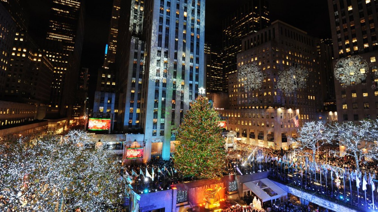 NAMA wins order against Ray Grehan