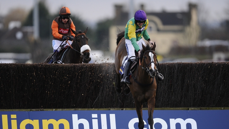 Gold Cup legend Kauto Star put down following fall