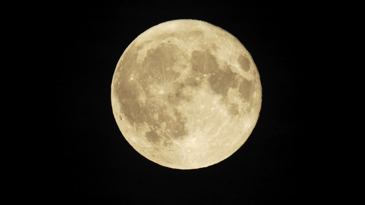 Full Moon Fever | Liveline - RTÉ Radio 1