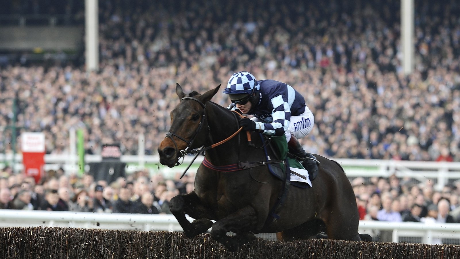 Captain out of King George Chase