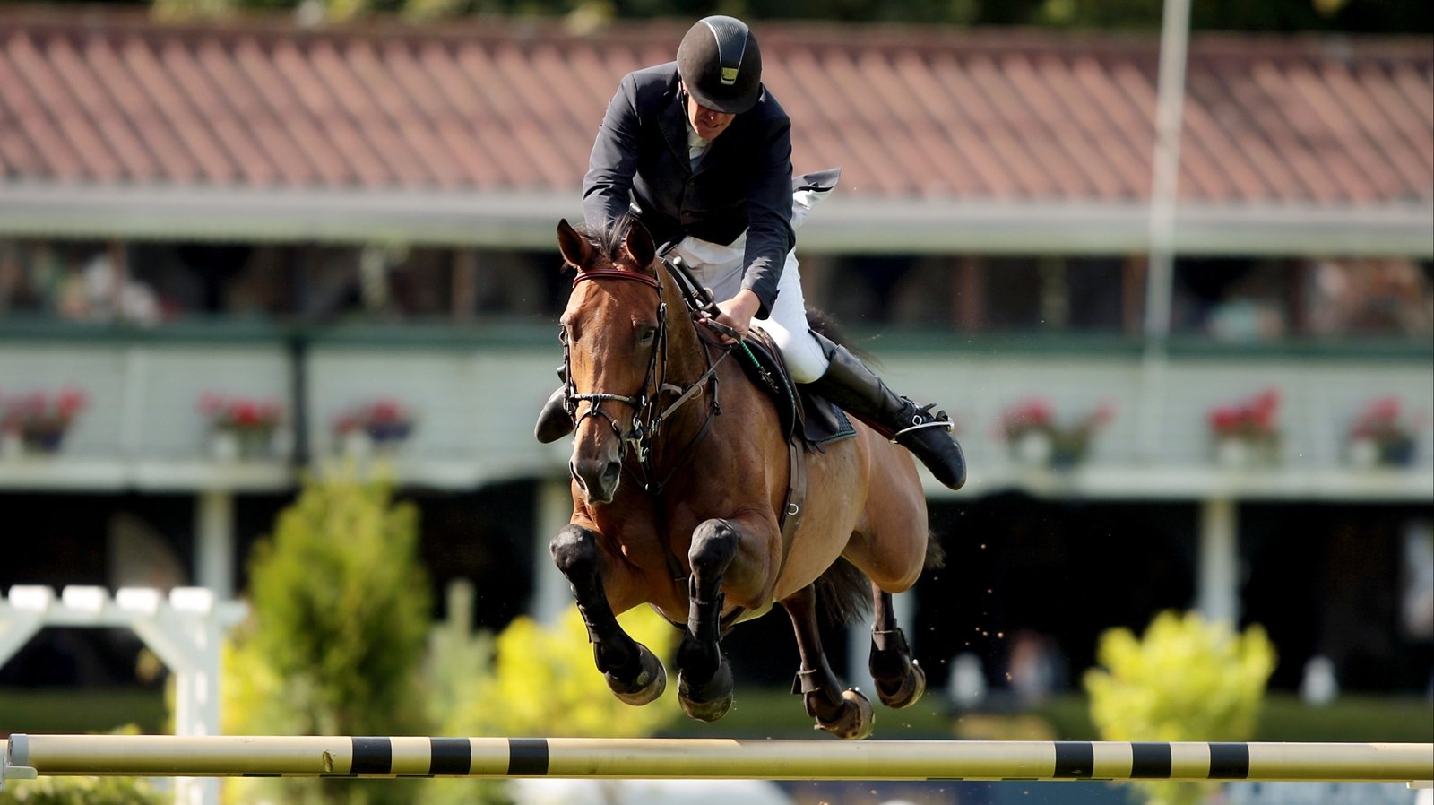 Ronan Murphy named as new HSI chief