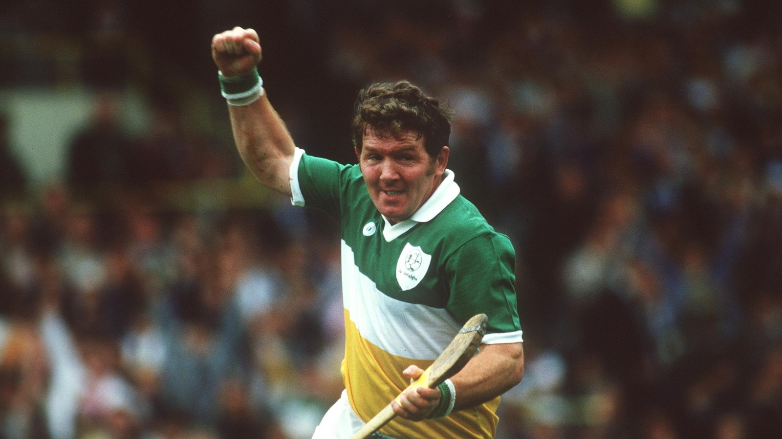 History of Offaly v Wexford